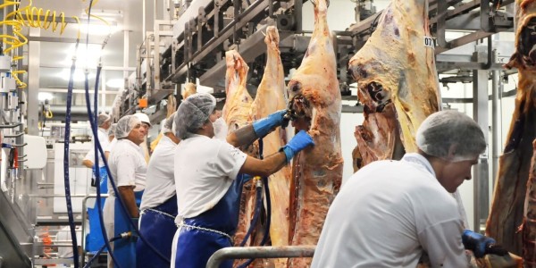 News Archives - Beef Central