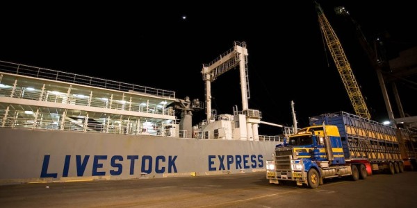 Live Export Archives - Beef Central