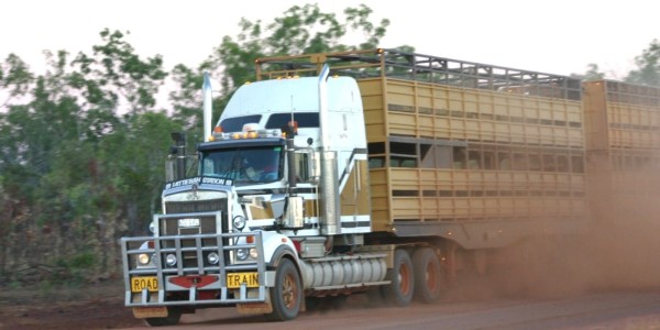 Carbon Archives - Beef Central