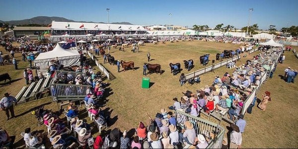 Genetics Central | Beef Central