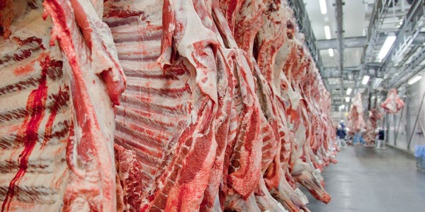 Beef Central Trade News