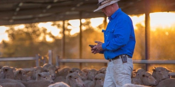 Ag Tech Archives - Beef Central