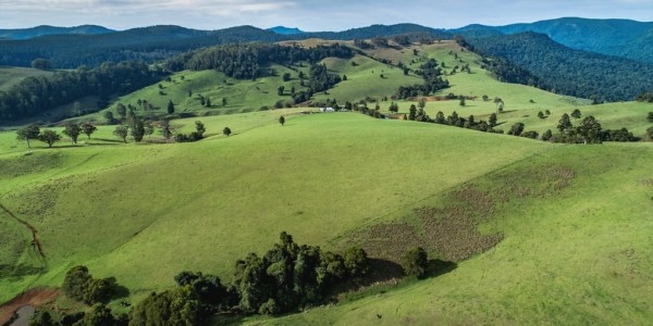 Production Archives - Beef Central