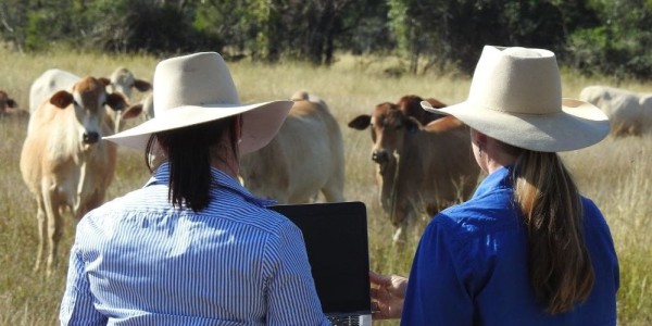 Ag Tech Archives - Beef Central