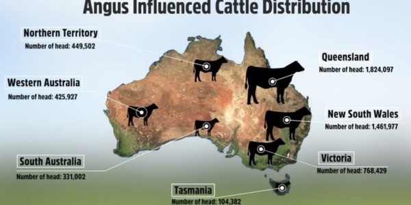 Genetics Central | Beef Central