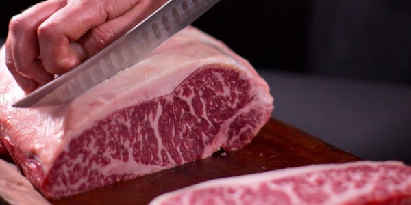 News Archives - Beef Central