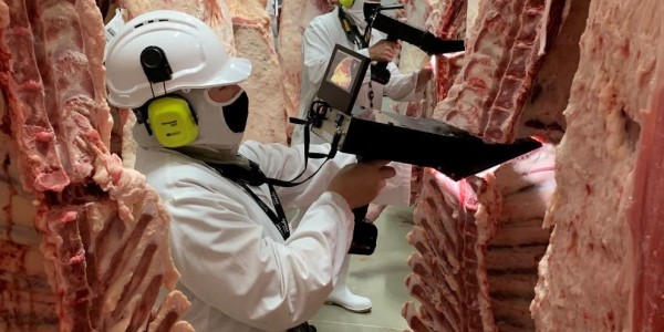 News Archives - Beef Central