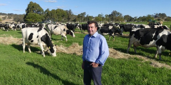 News Archives - Beef Central