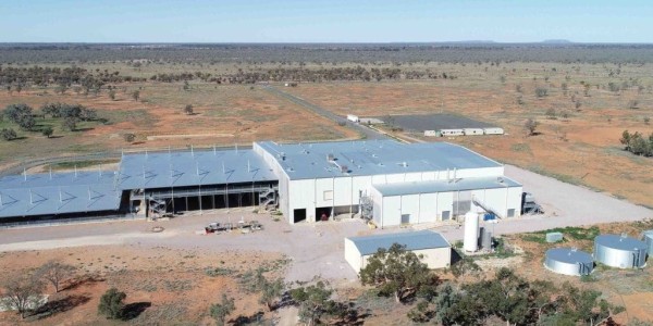 Australian Processing News | Beef Central