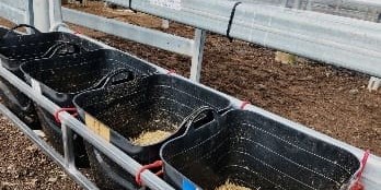 Production Archives - Beef Central