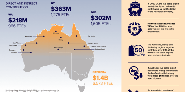 Live Export Archives - Beef Central