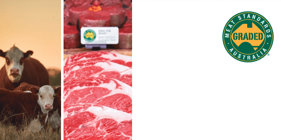 Production Archives - Beef Central