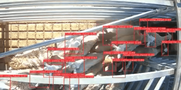 Ag Tech Archives - Beef Central