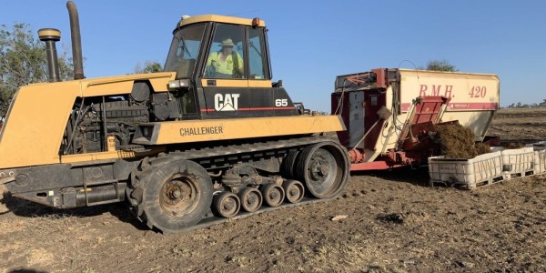 Production Archives - Beef Central