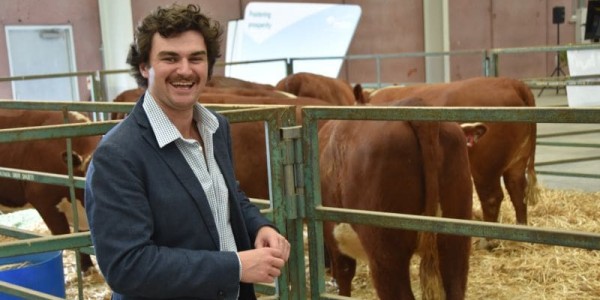 News Archives - Beef Central