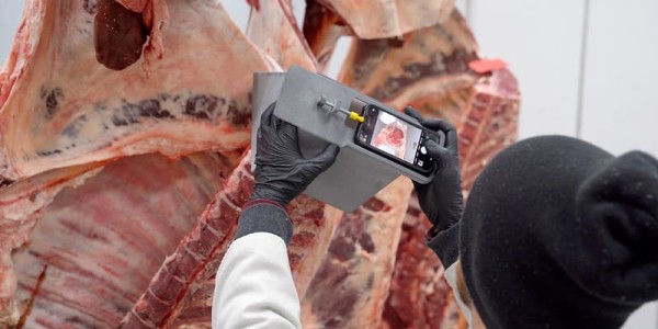 Australian Processing News | Beef Central