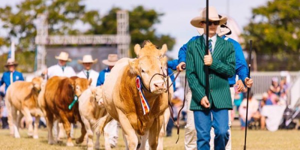 Beef 2024 Preview Archives - Beef Central