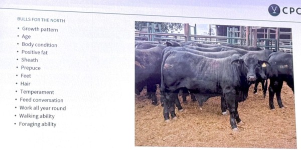 Genetics Central Beef Central