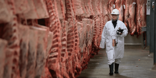 News Archives - Beef Central