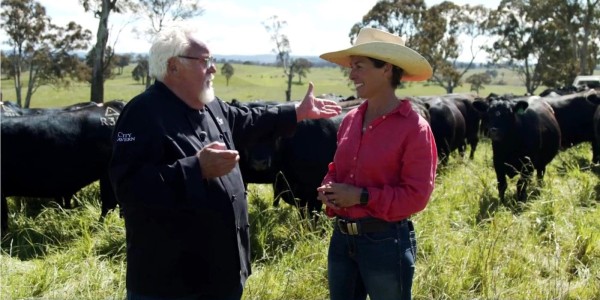 News Archives - Beef Central