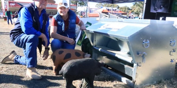 Production Archives - Beef Central