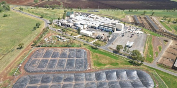 Australian Processing News | Beef Central