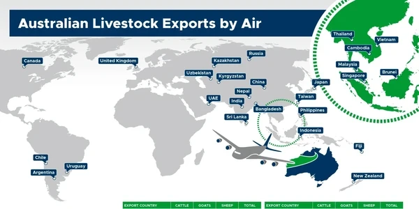 Live Export Archives - Beef Central