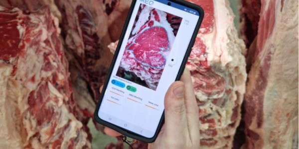 Australian Processing News | Beef Central