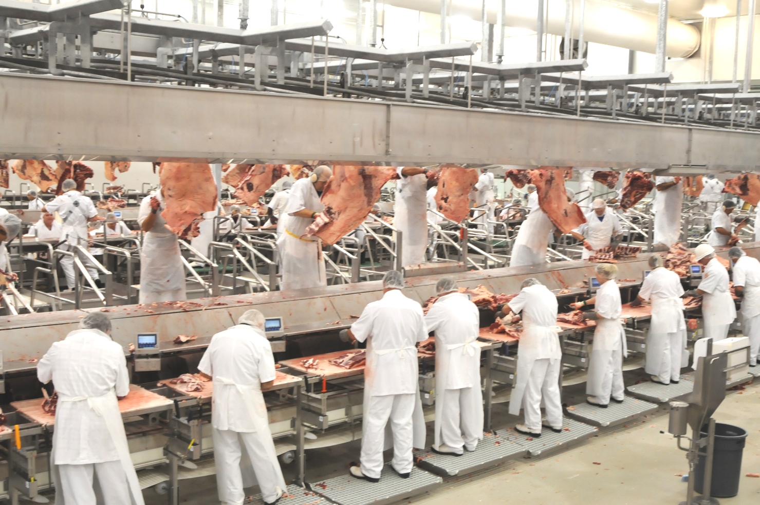 Oakey steps closer to re-activated western cattle rail service - Beef ... Oakey steps closer to re-activated western cattle rail service - Beef ...