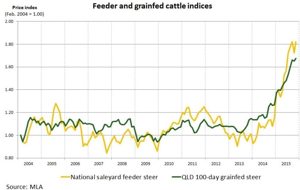 Surge In Feeder Prices Outstrips Fed Cattle Beef Central Surge In Feeder Prices Outstrips Fed Cattle Beef Central