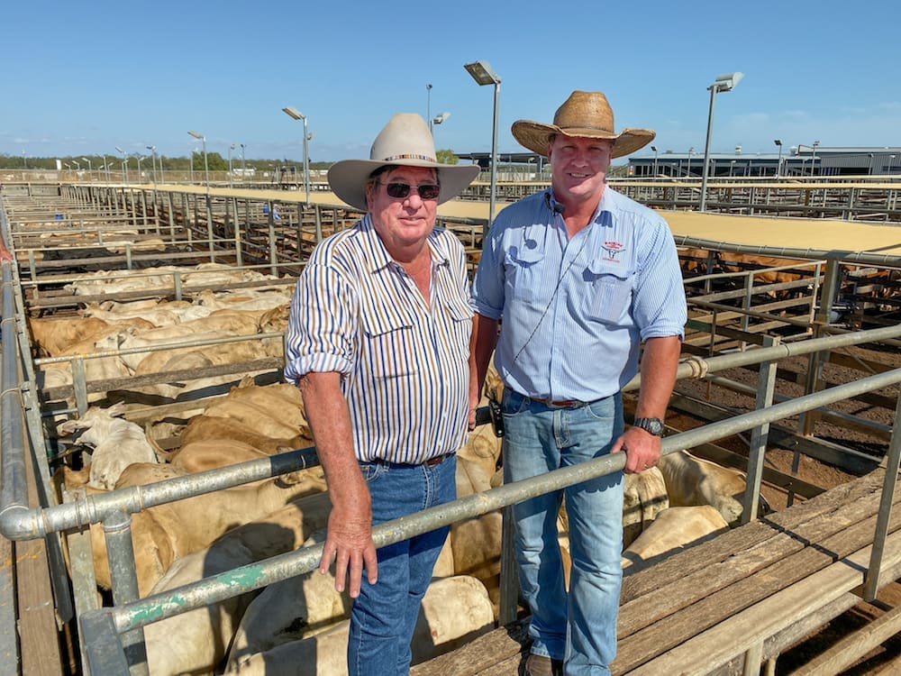 Roma store sale 28 Jan 2020: Prices lift with rain - Beef Central