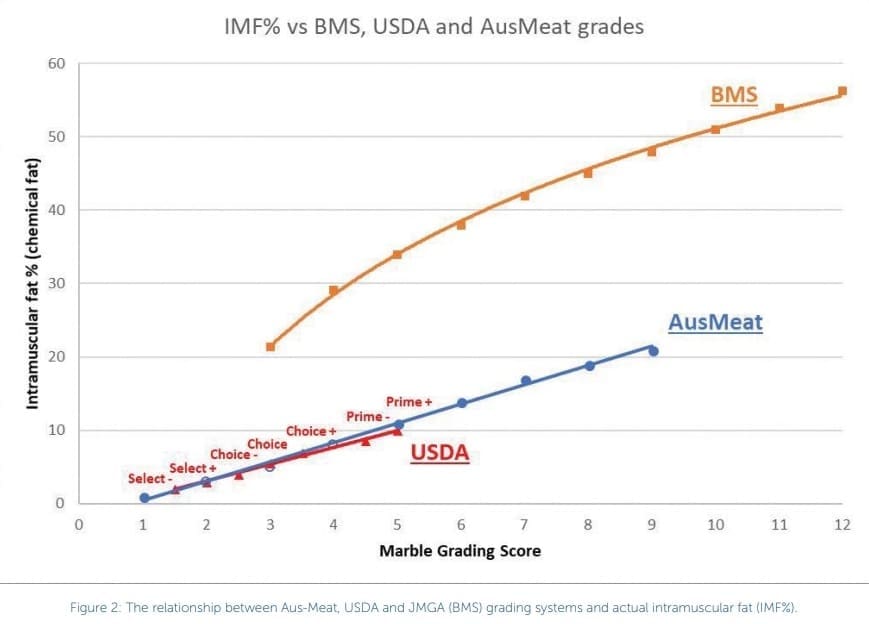 Camera grading sharpens Wagyu genetic selection - Beef Central Camera grading sharpens Wagyu genetic selection - Beef Central