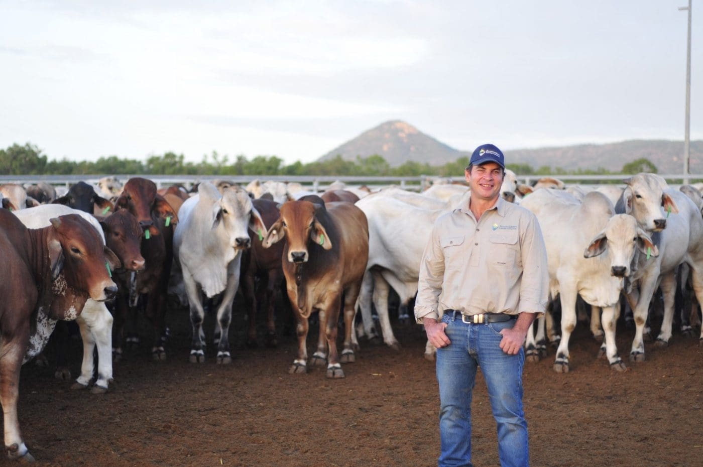 Maiden voyage for Australia’s newest cattle exporter - Beef Central
