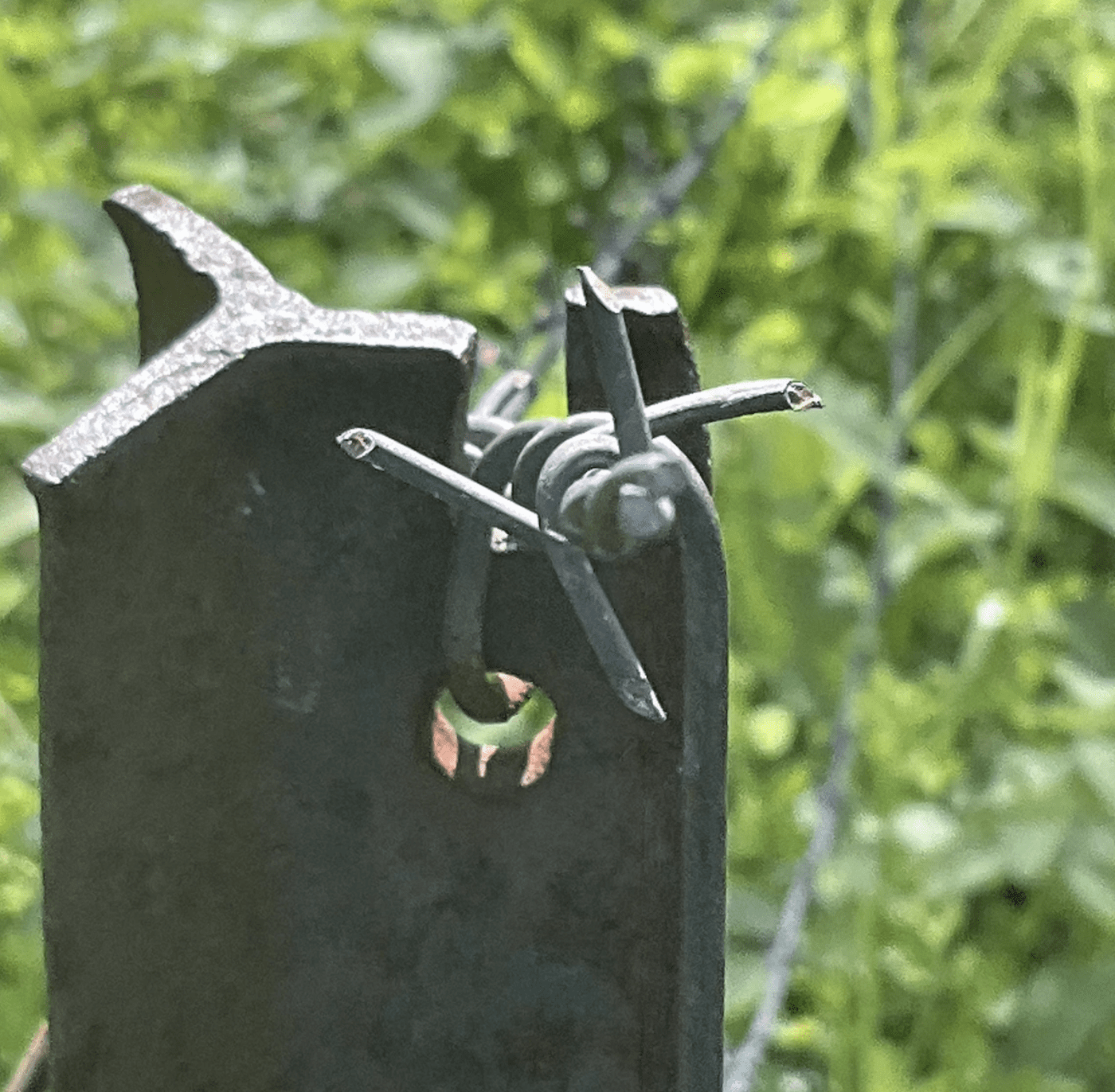 Qld Police investigating stock fence damage - Beef Central