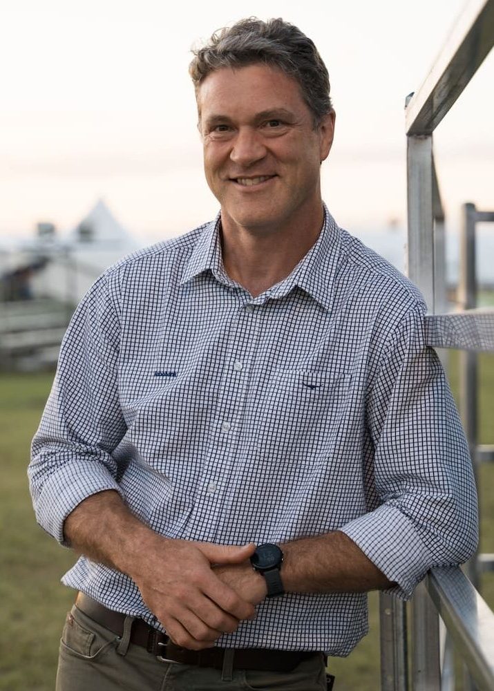 Are Australian cattle prices more volatile now than earlier times ...