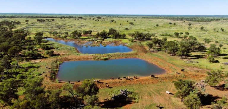 Nationals hit out at David Farley reusing refuted claims about beef's ...