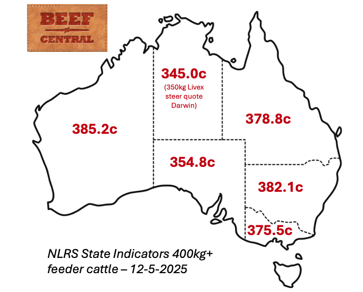 Feeder cattle market: Southern dry pushing numbers forward - Beef Central