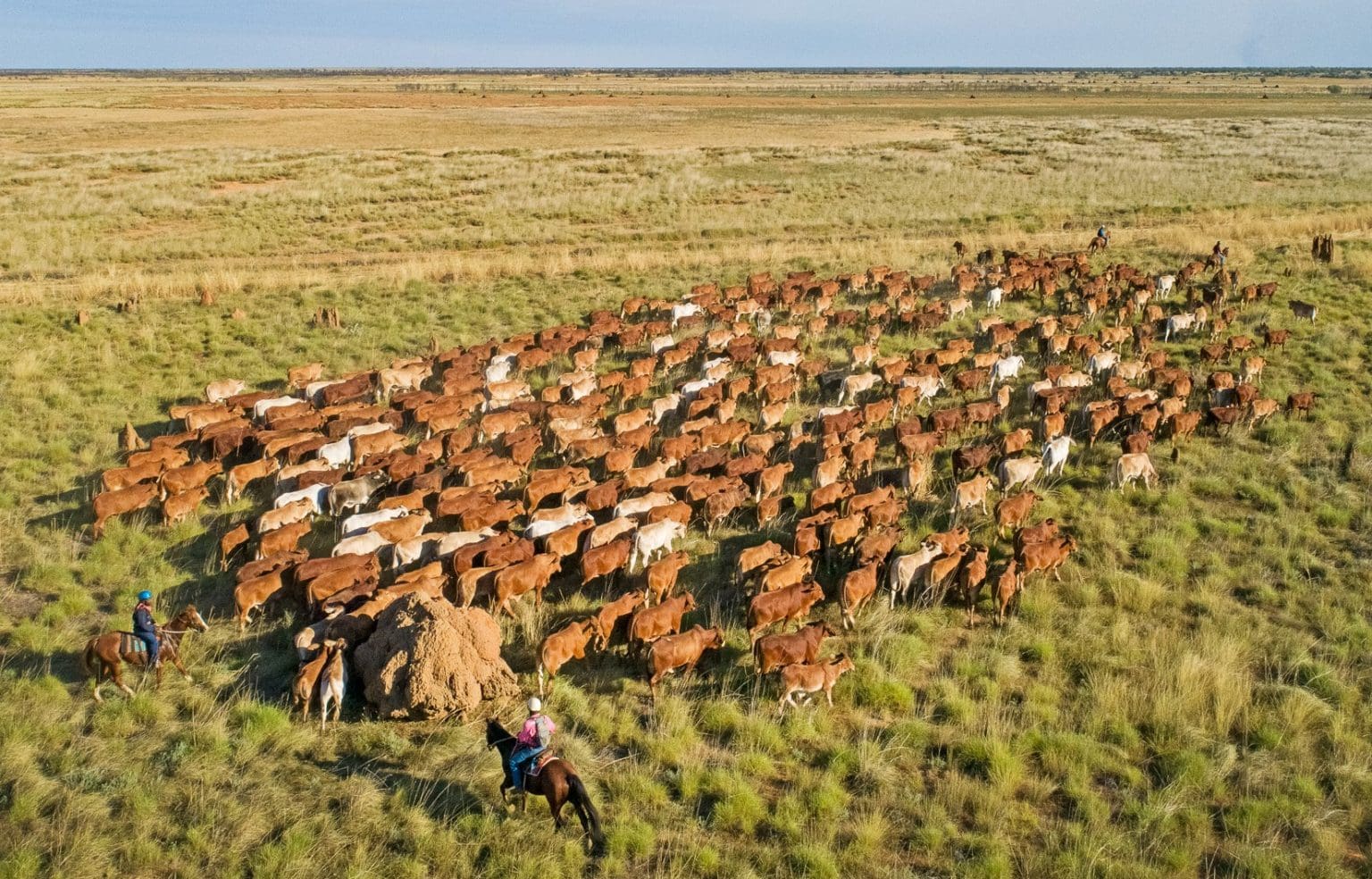 Properties for sale: NT and WA - Beef Central