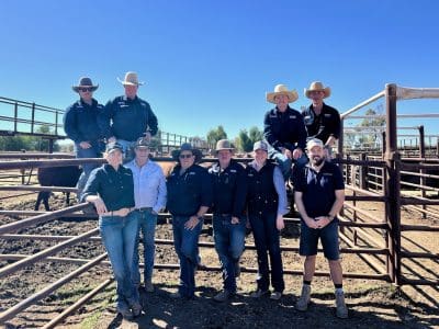Steers meet interstate demand at Alice Springs Show Sale - Beef Central