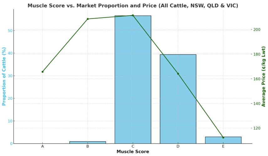 Don’t discount the importance of muscling in selection - Beef Central