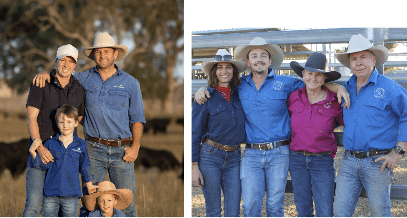 New owners secure iconic Palgrove Charolais herd - Beef Central