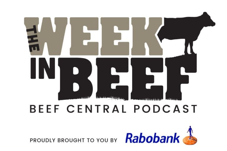 Week in Beef: Lotfeeders give numbers of the week, grey area in ...