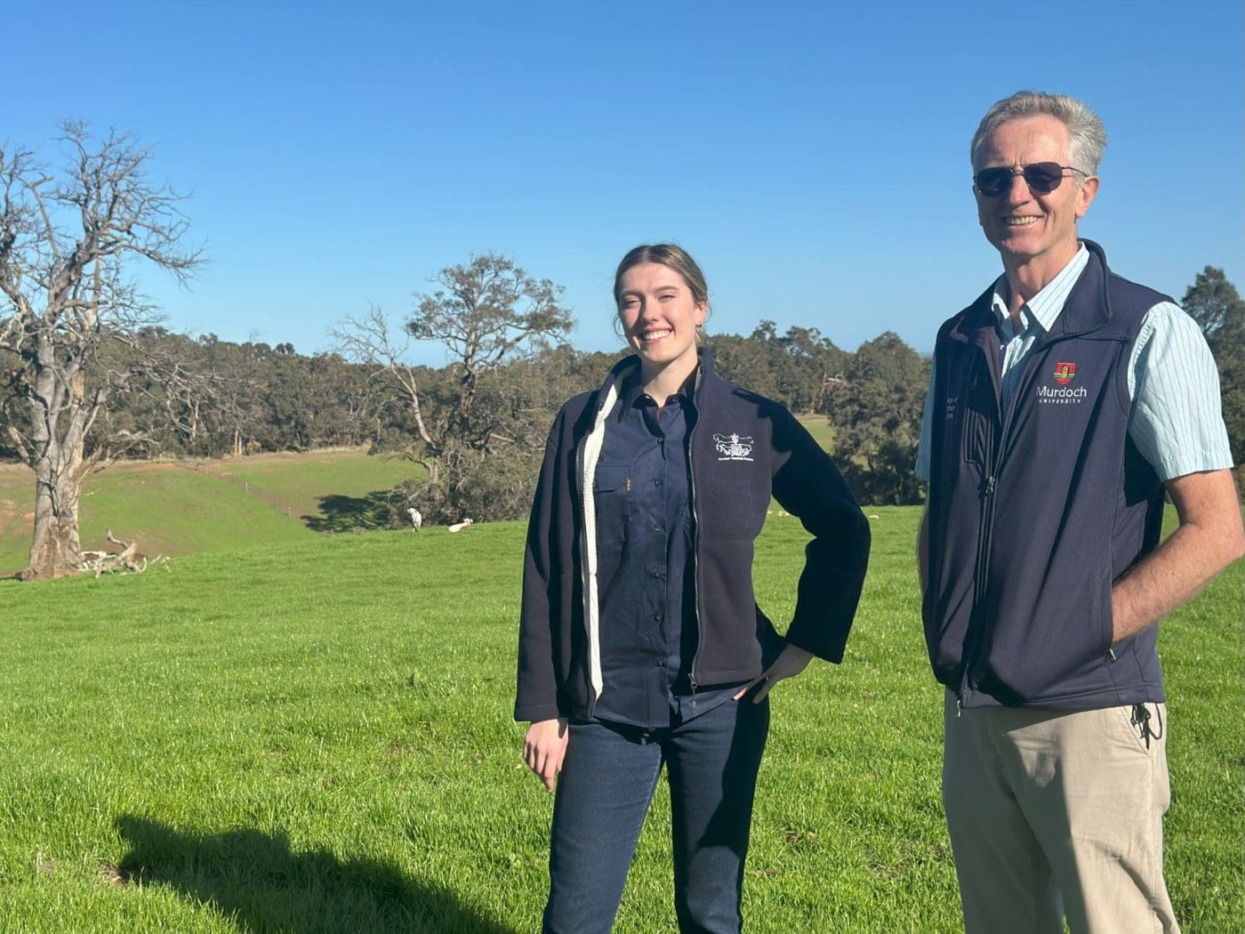 WA-first research project to track calves of Nguni cattle breed - Beef ...