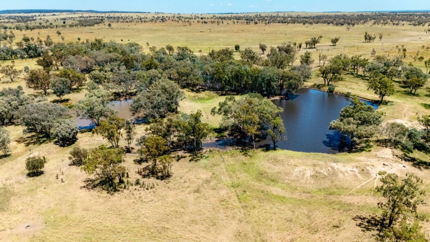 Hughes Grazing secures central western Qld’s Taylors Plains in $66m ...