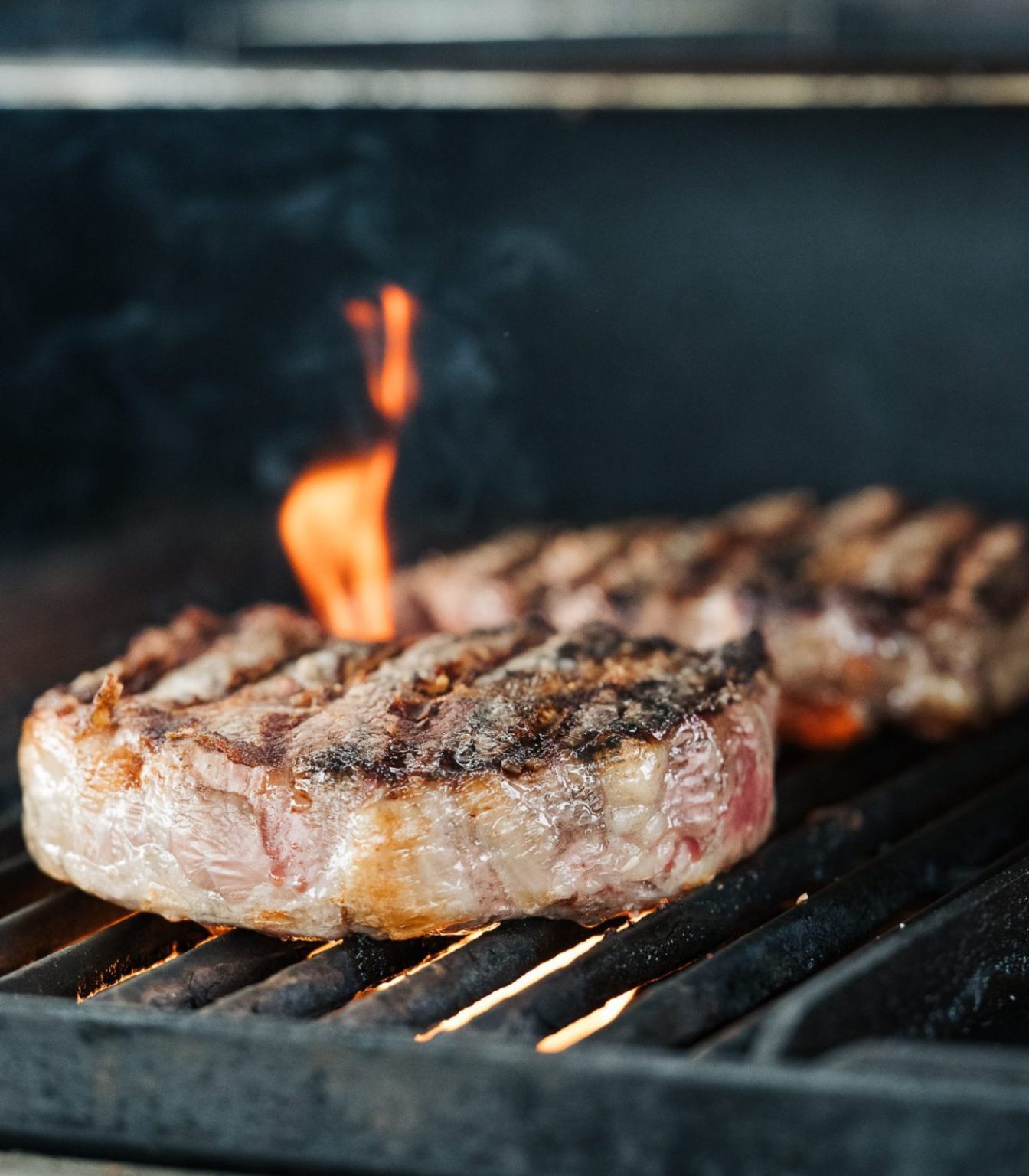 Speckle Park set to shine at Ekka as fresh science, saleyard results ...