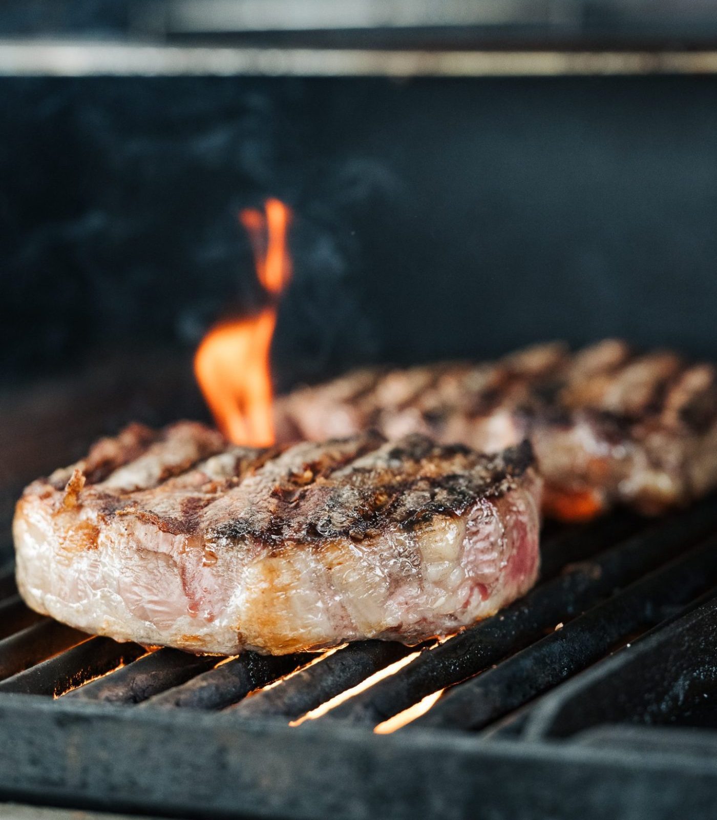 Speckle Park set to shine at Ekka as fresh science, saleyard results ...