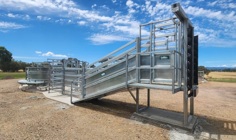 Should producers have to pay to access a livestock ramp safety standard ...