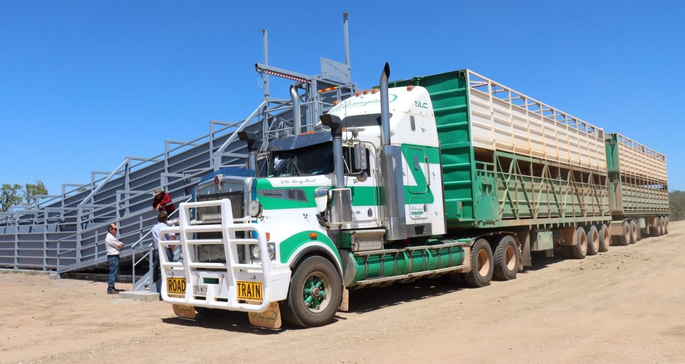 Cattle industry urged to lift standards on livestock loading - Beef Central