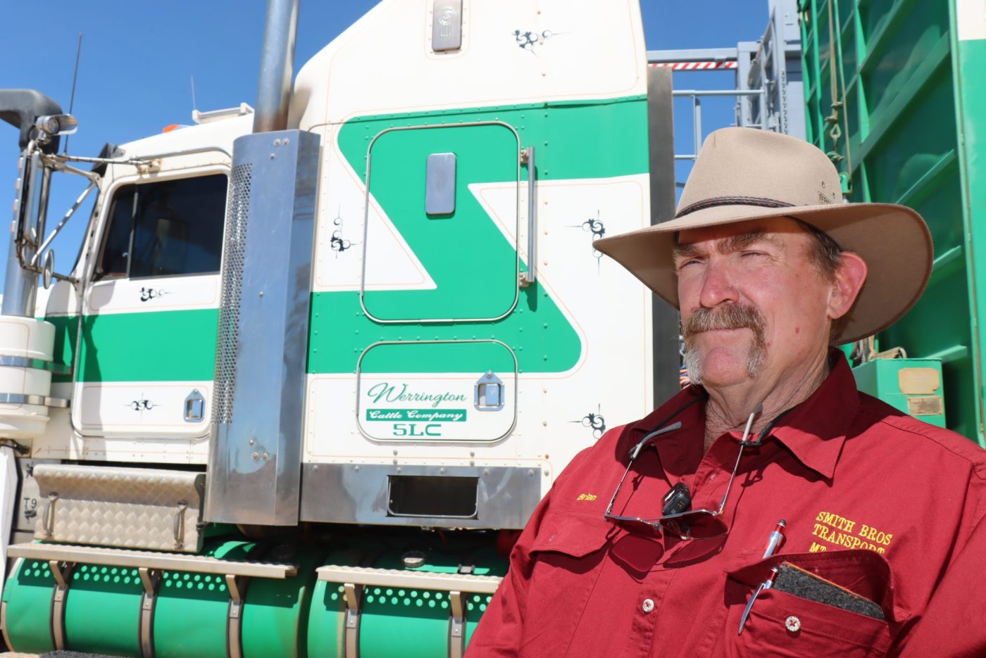 Cattle industry urged to lift standards on livestock loading - Beef Central