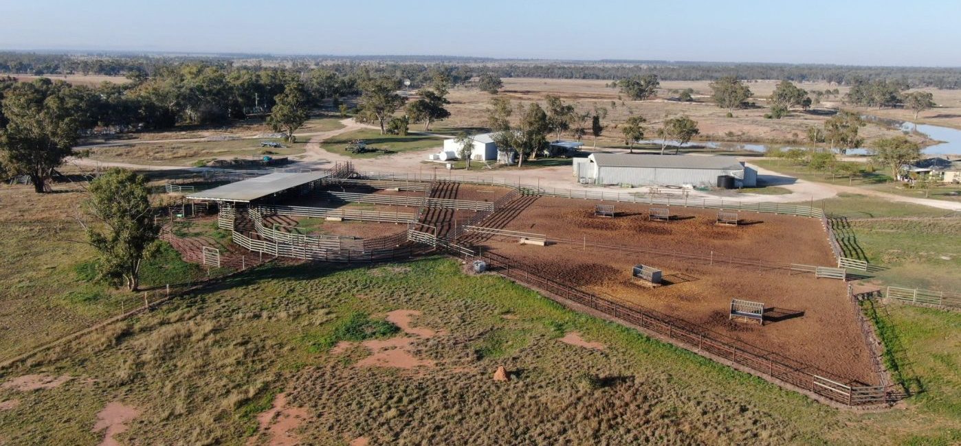 Movement at the Station: recent property listings in Queensland - Beef ...